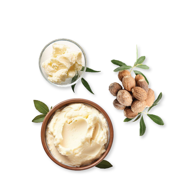 Shop – Refined Naturals