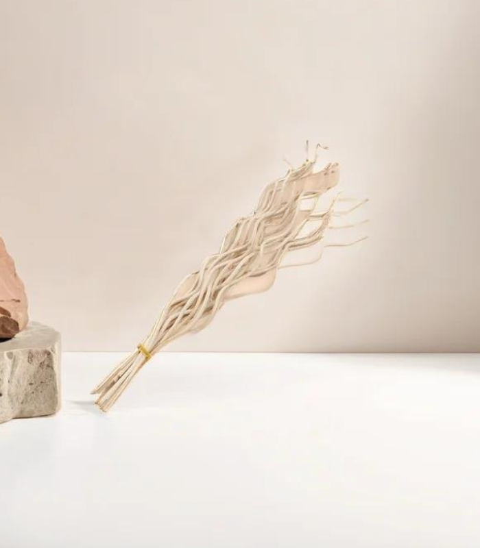 Diffuser Sticks Beige - Long & Wavy – Refined Naturals