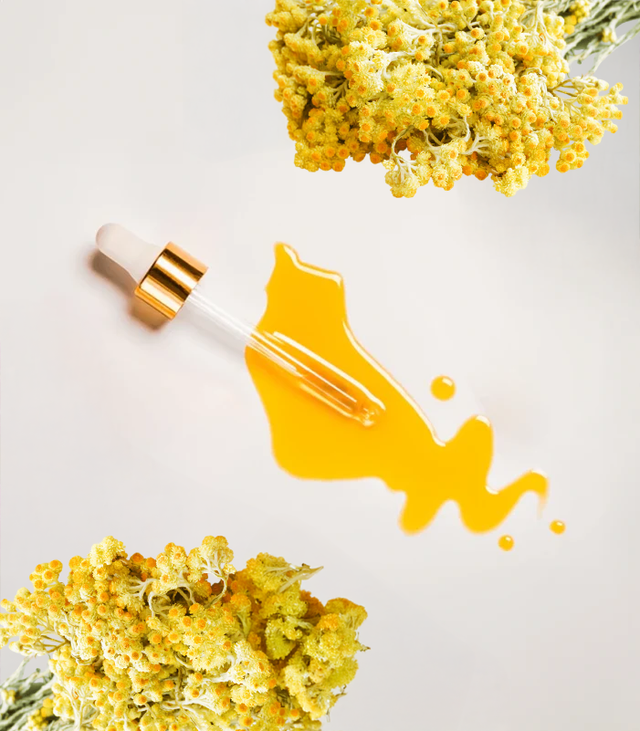 Helichrysum (African) Essential Oil – Refined Naturals